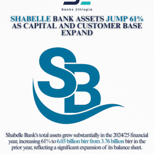 Goh Betoch Bank - Banks in Ethiopia