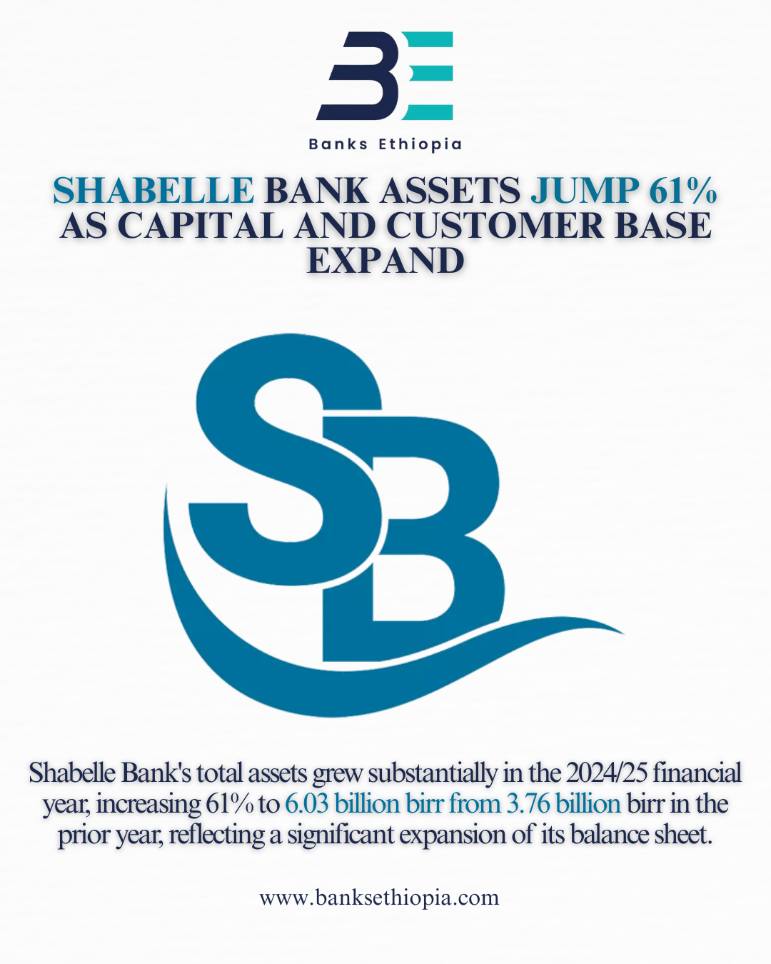 Shabelle Bank Assets Jump 61% as Capital and Customer Base Expand ...