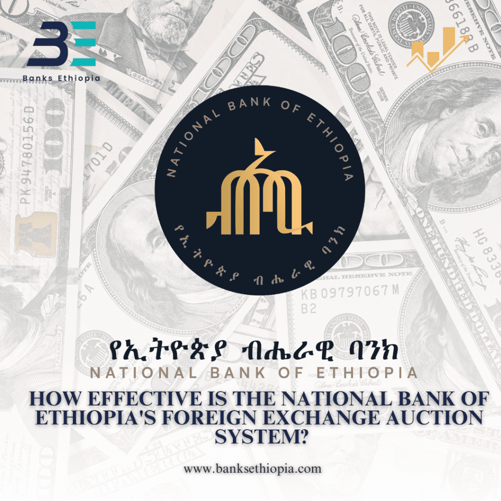how-effective-is-the-national-bank-of-ethiopia-s-foreign-exchange
